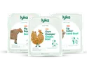 Life-changing dog food | Lyka Pet Food