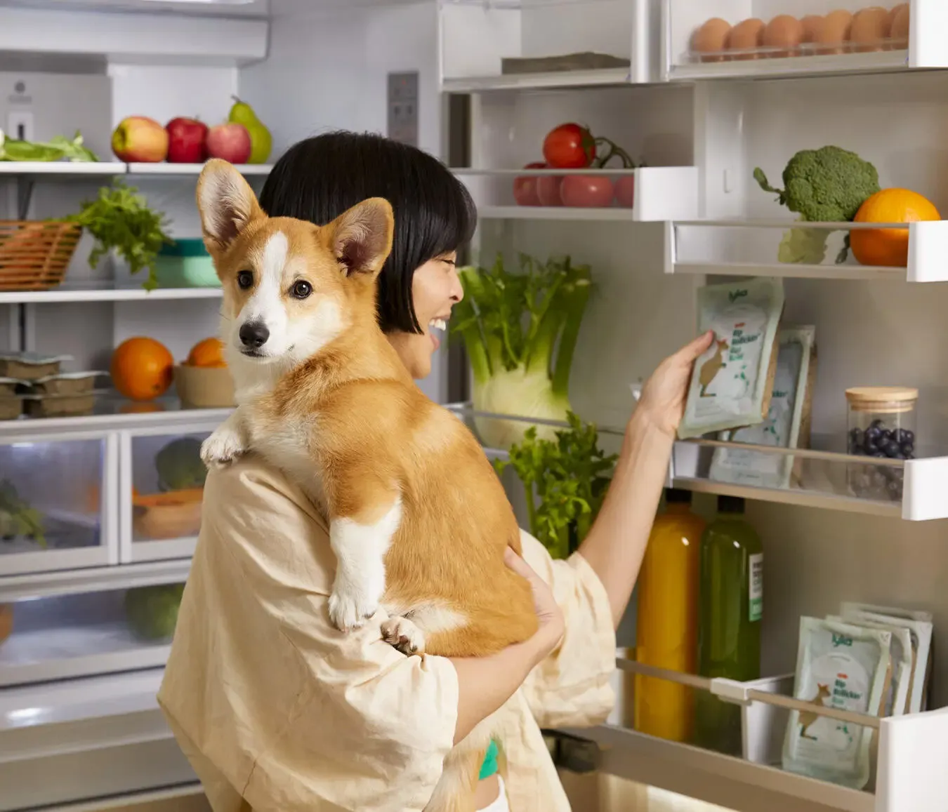 Life-changing dog food | Lyka Pet Food