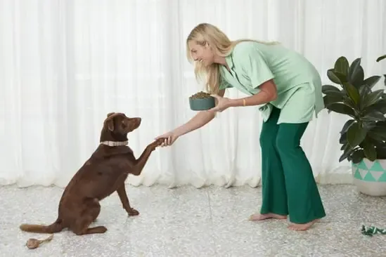 Life-changing dog food | Lyka Pet Food