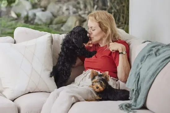 Life-changing dog food | Lyka Pet Food